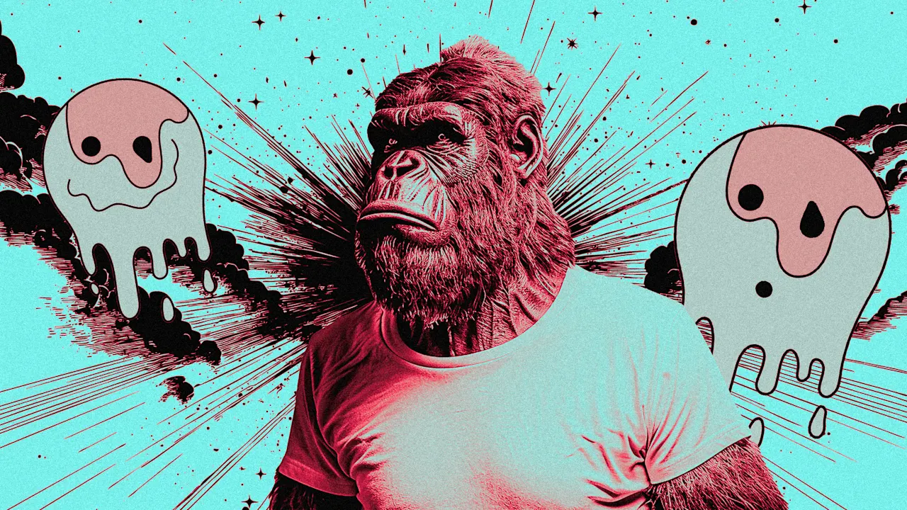 TikTokers hatch plan to make memes great again