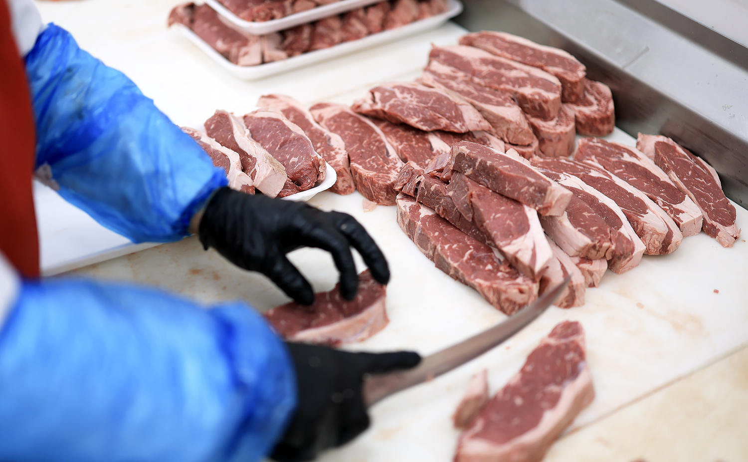 Maddow Blog | The administration is blaming immigrants with ‘sick cows ...