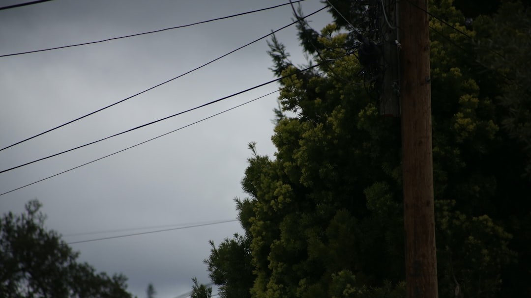 7 U.S. States Where Fear Of Energy Blackouts Has Become Widespread