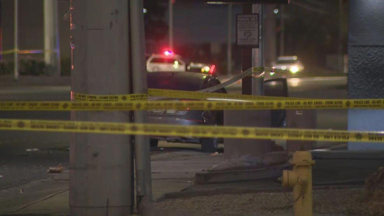 Pedestrian struck and killed by car near Charleston, Lamb