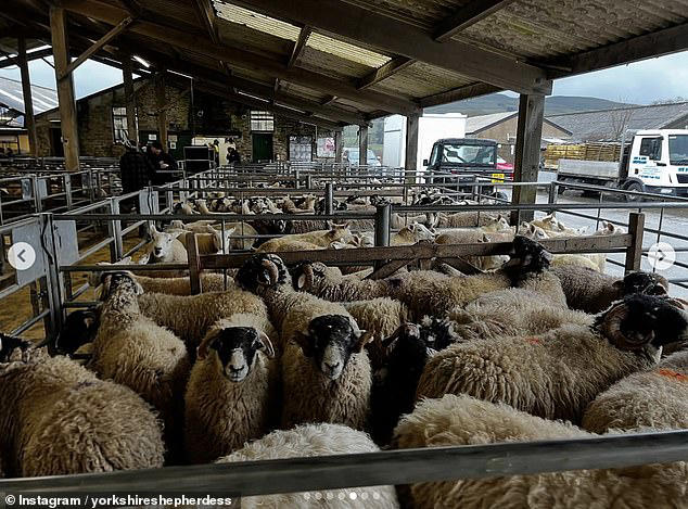 Amanda Owen defiantly hits back at critics after being branded a ...