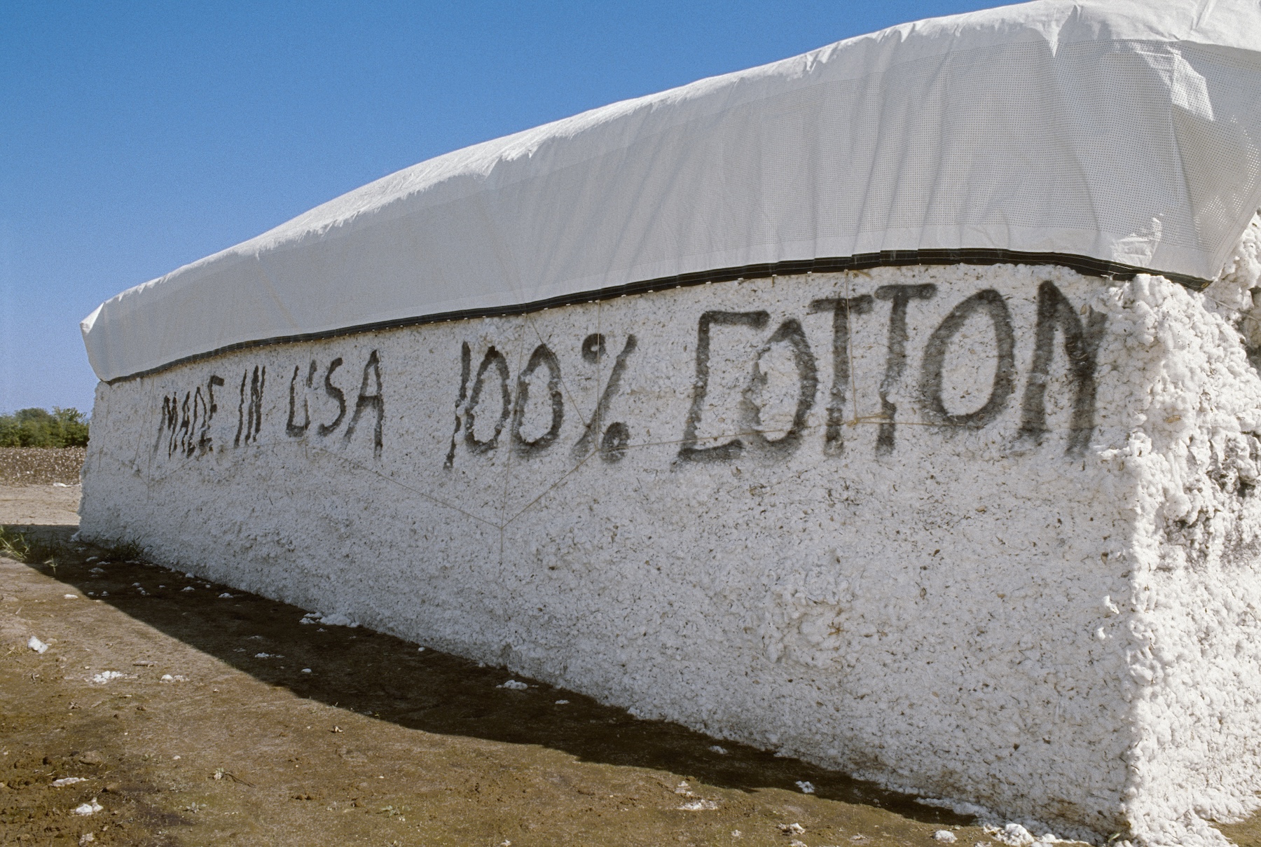 U.S. Cotton Trust Protocol ‘Landmark' Report Beats Most 2025 Goals