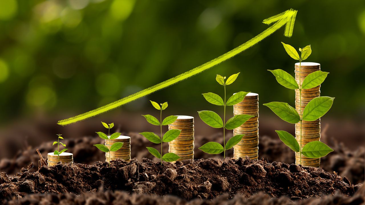 I'm a Financial Planner: To Beat Inflation and Build Wealth, This Is ...