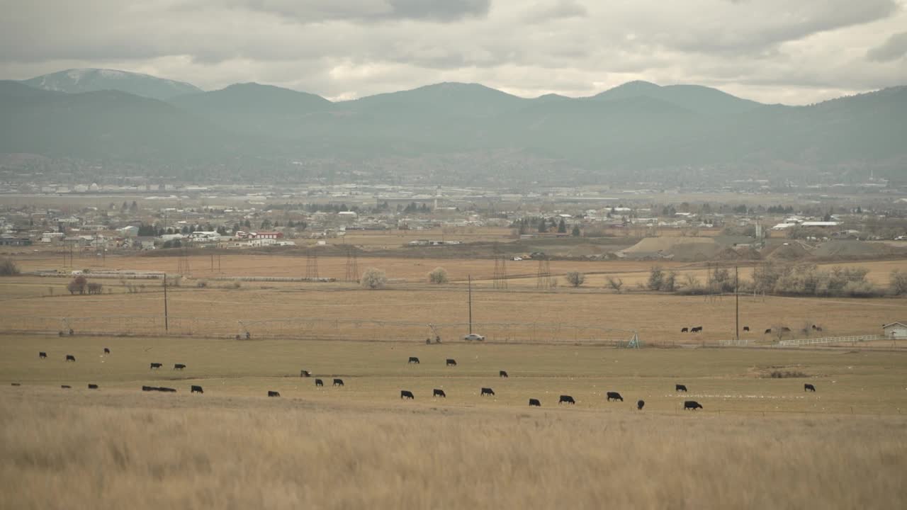 Groups sue Montana over exempt wells water impacts