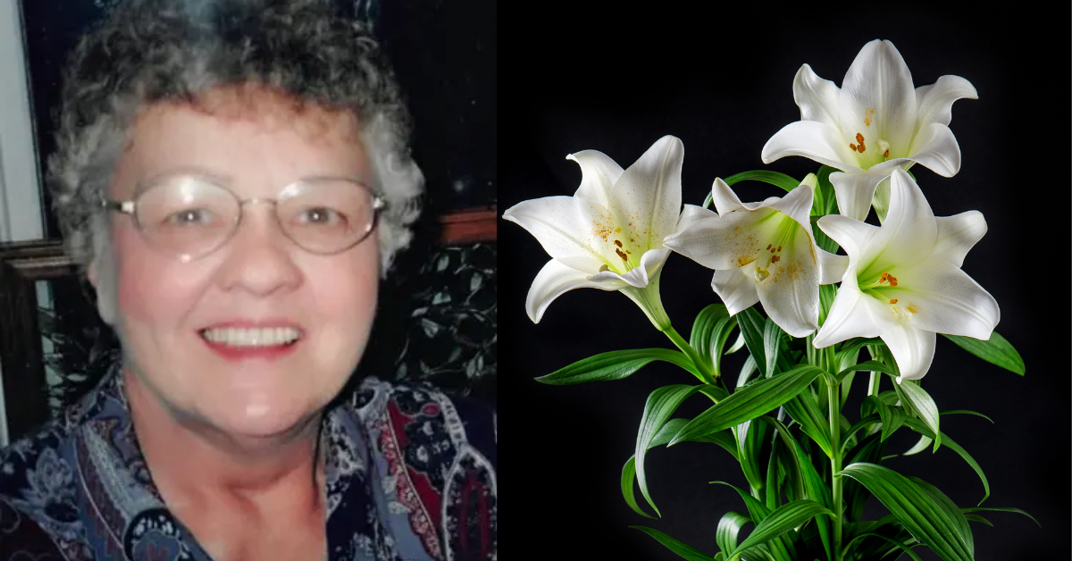 Violet Neil, 84, of Burlington - Obituary