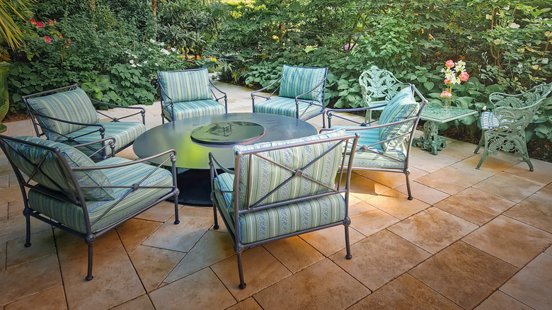 The Beautiful Landscape Bush That Creates Stunning Patio Privacy