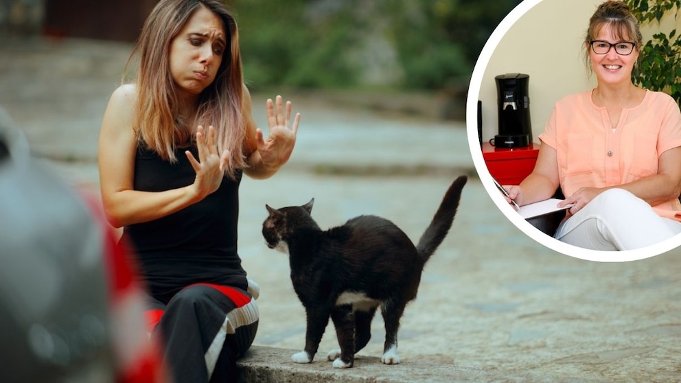 You don’t like cats? Here’s what that says about you
