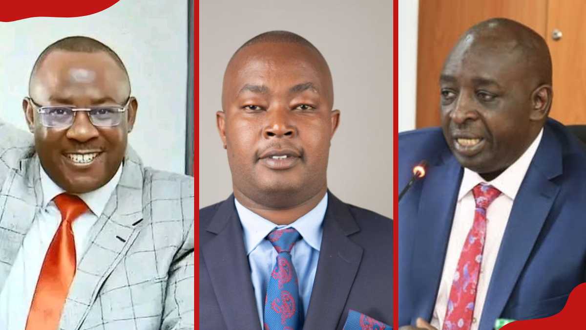 Nairobi: New poll ranks top 10 best-performing MPs, highlights their ...