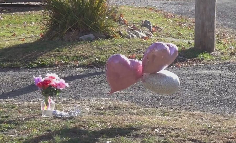 Vandalia community shocked by 14-year-old girl’s death