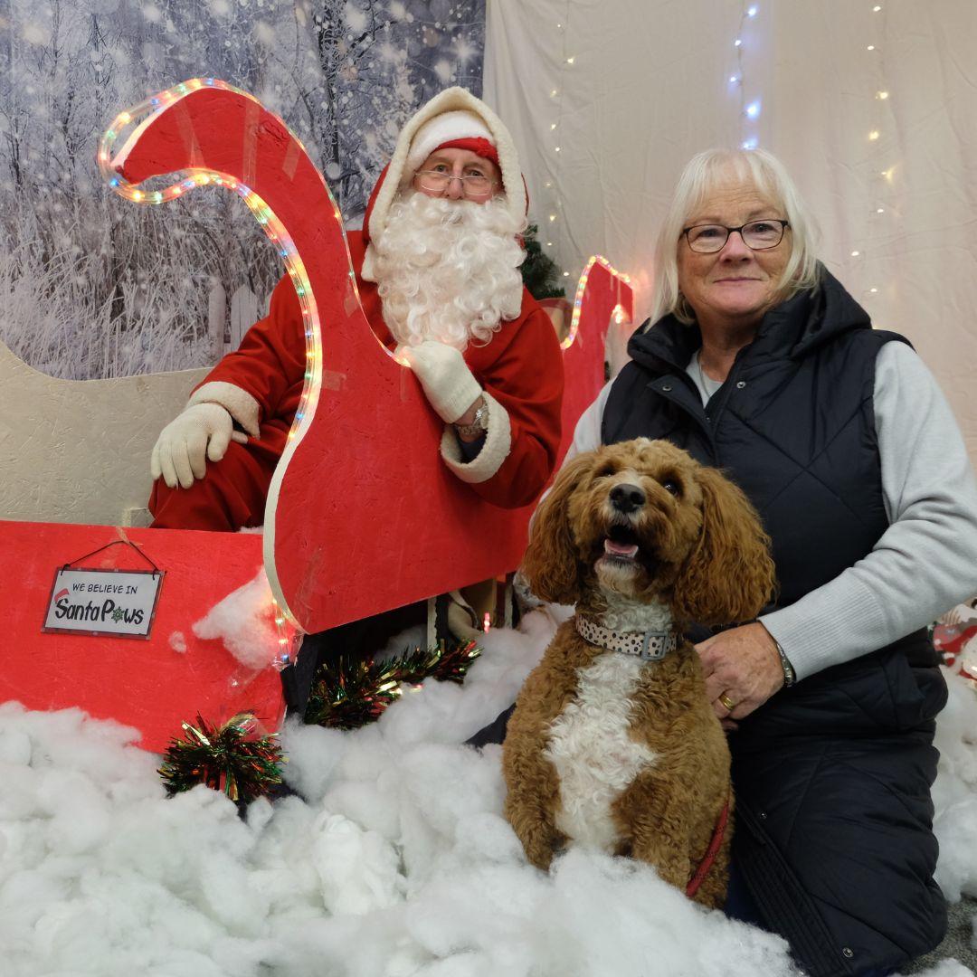 Santa Paws is coming back to Nottinghamshire: Fostering community ...