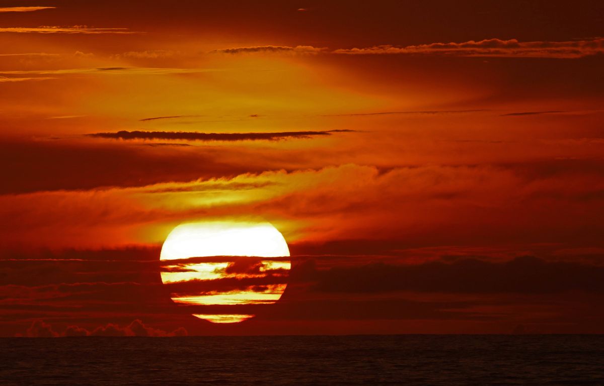 « La Chute d’Icare » : Voici la photo que beaucoup décrivent comme le ...