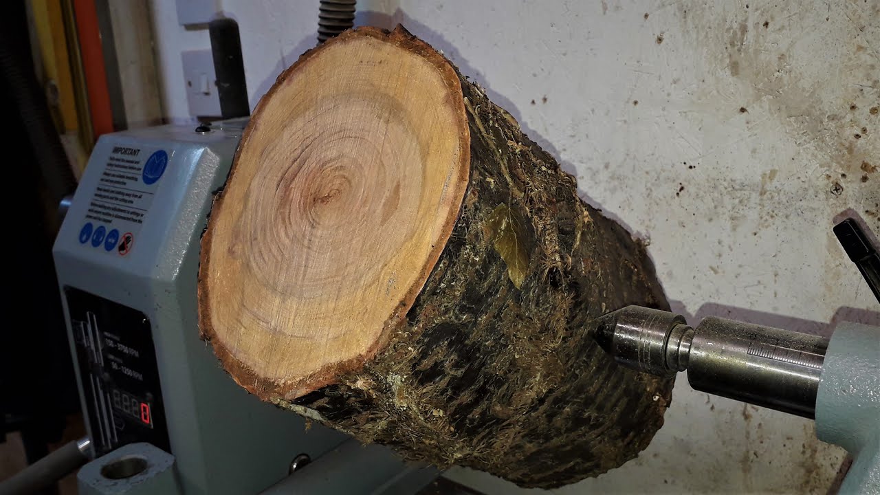 Watch How This Man Made Natural Edge Plum Bowl