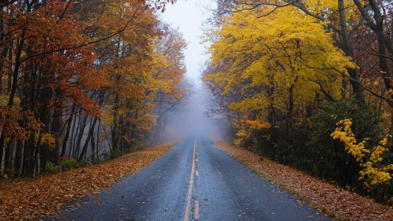 When to Hit the Road: Ohio’s Best and Worst Thanksgiving Travel Times