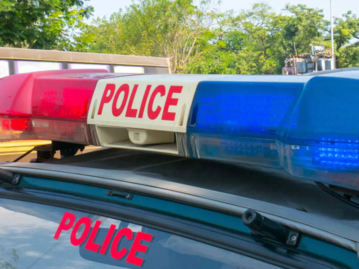 2020 Delhi riots were ‘orchestrated, pre-planned’ assault on nation’s ...