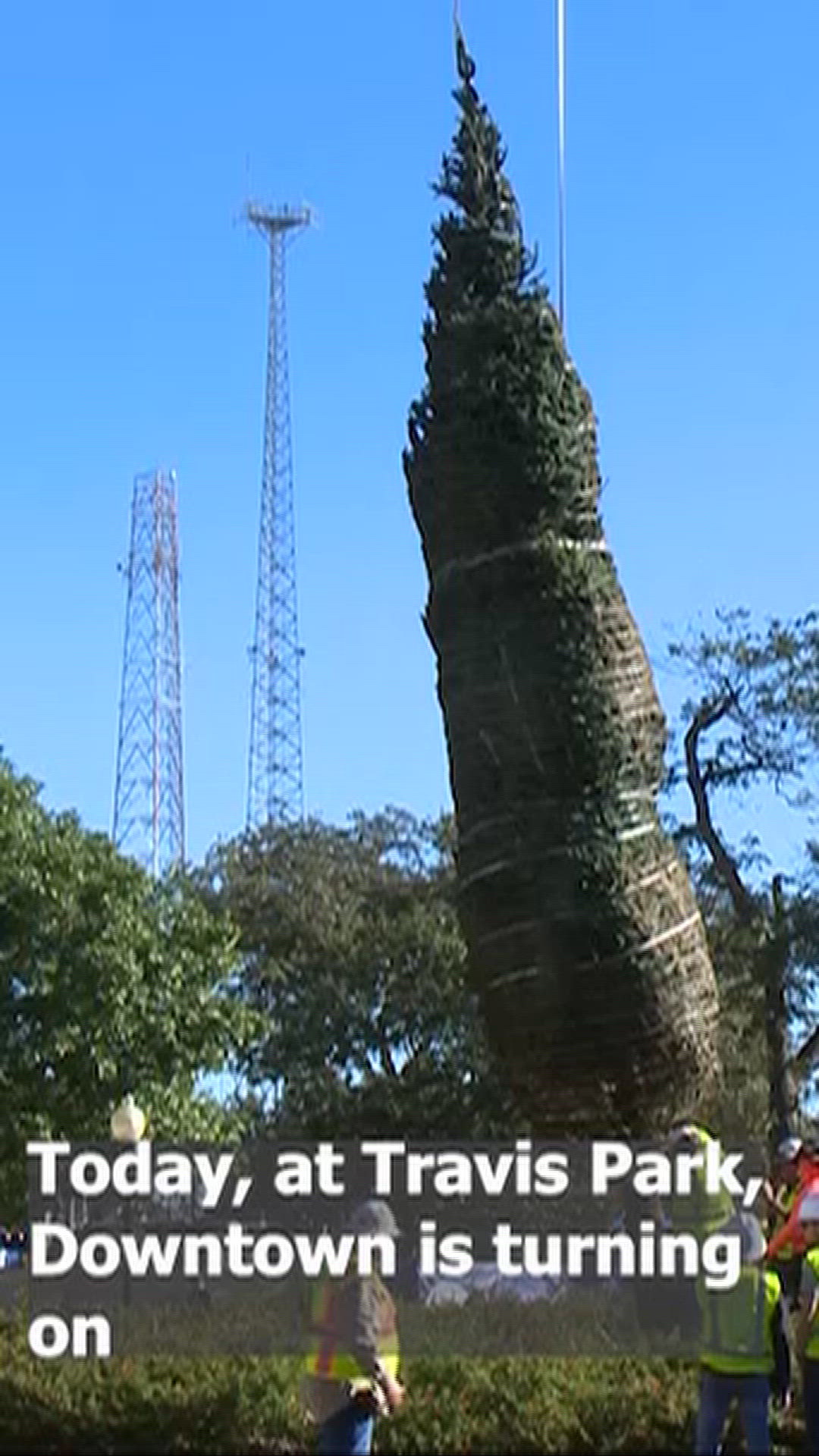 HEB Christmas Trees Arrive InTravis Park