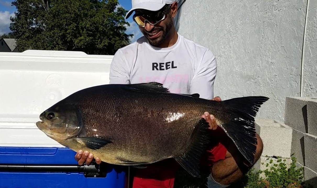 The man who risked it all just to catch his lunch