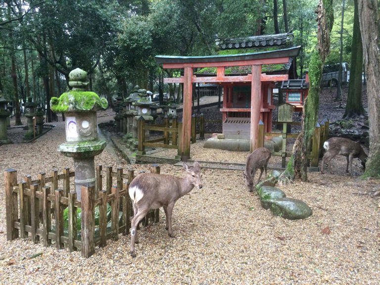 Japan’s Golden Route: What To Add (And What To Skip)