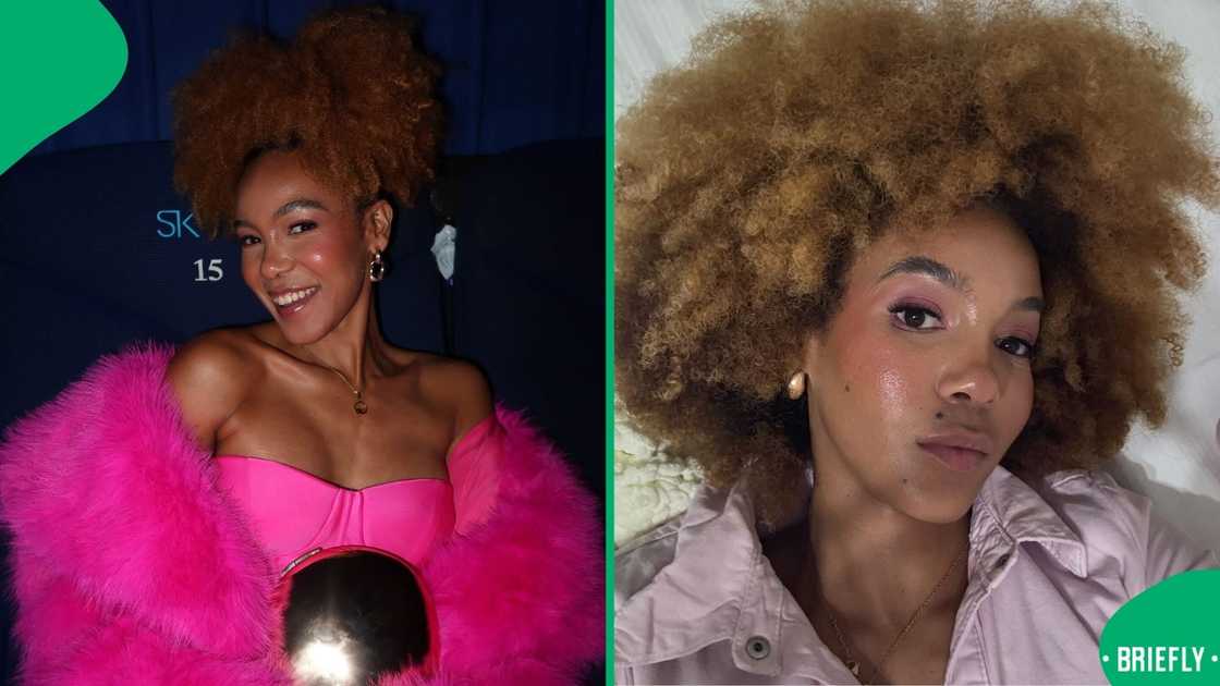 SA Influencer takes pink obsession to new heights with bold backyard ...