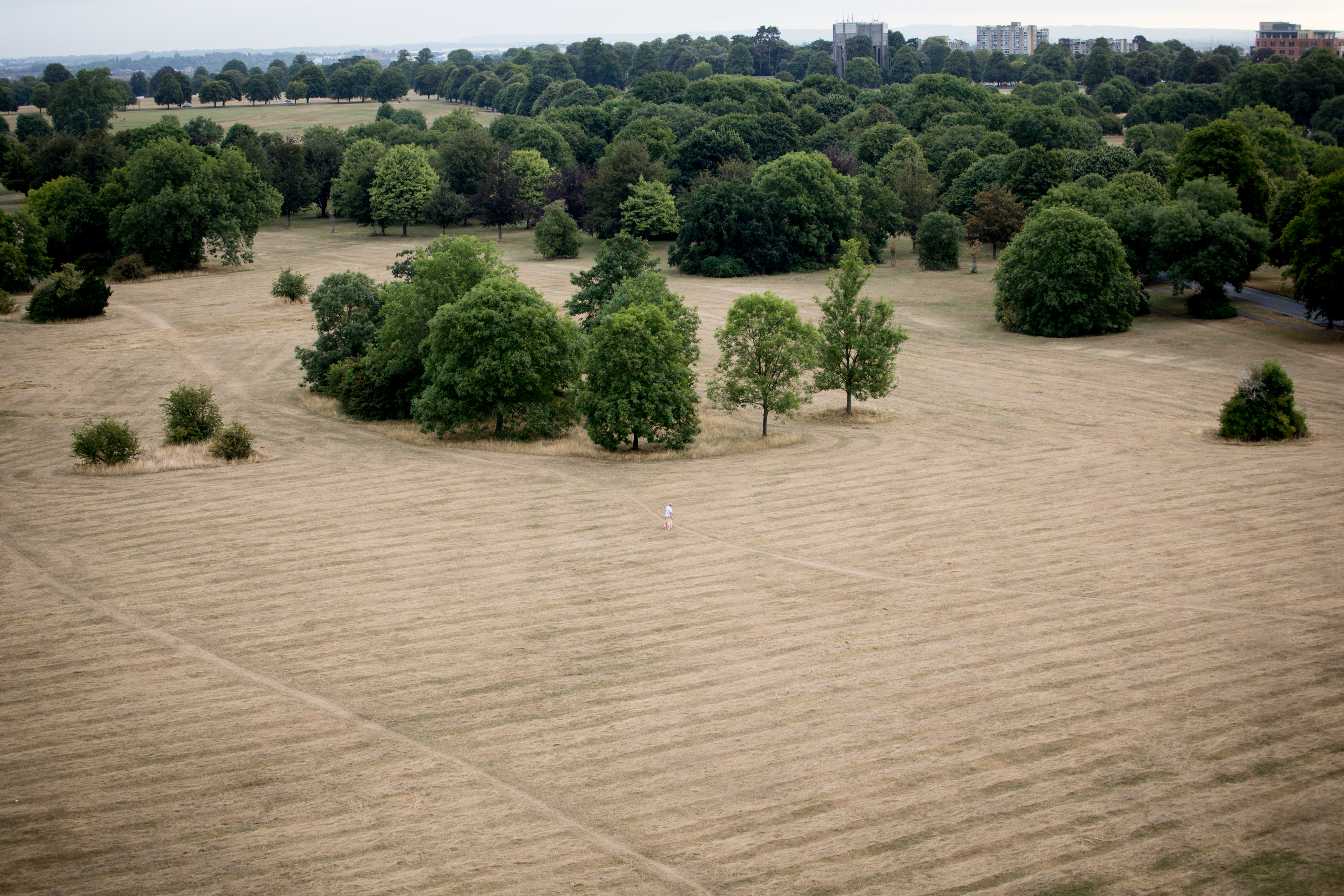 Bristol leaders make changes to new fees for people using the Downs as ...