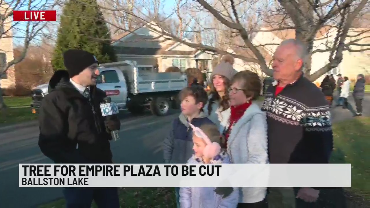 Empire Plaza Holiday Tree to be cut