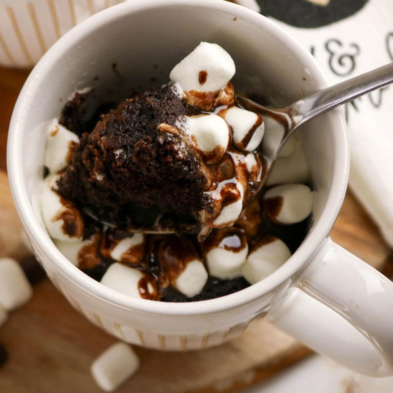 Hot Chocolate Mug Cake