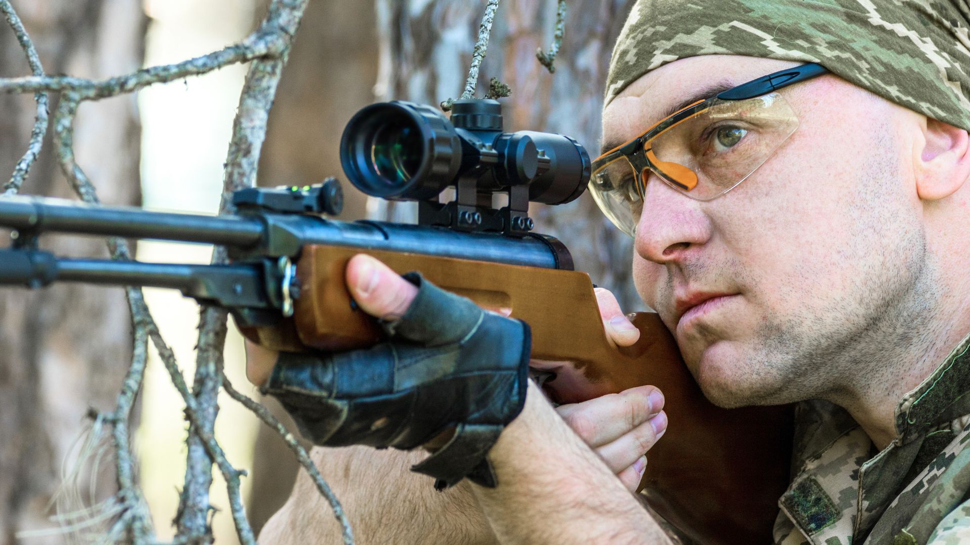 Rifles that shoot better than they look
