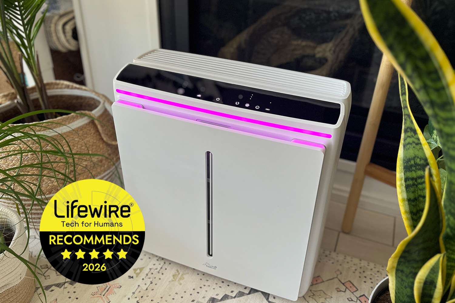 How the RabbitAir A3 Reduced Dust and Odors in My Home