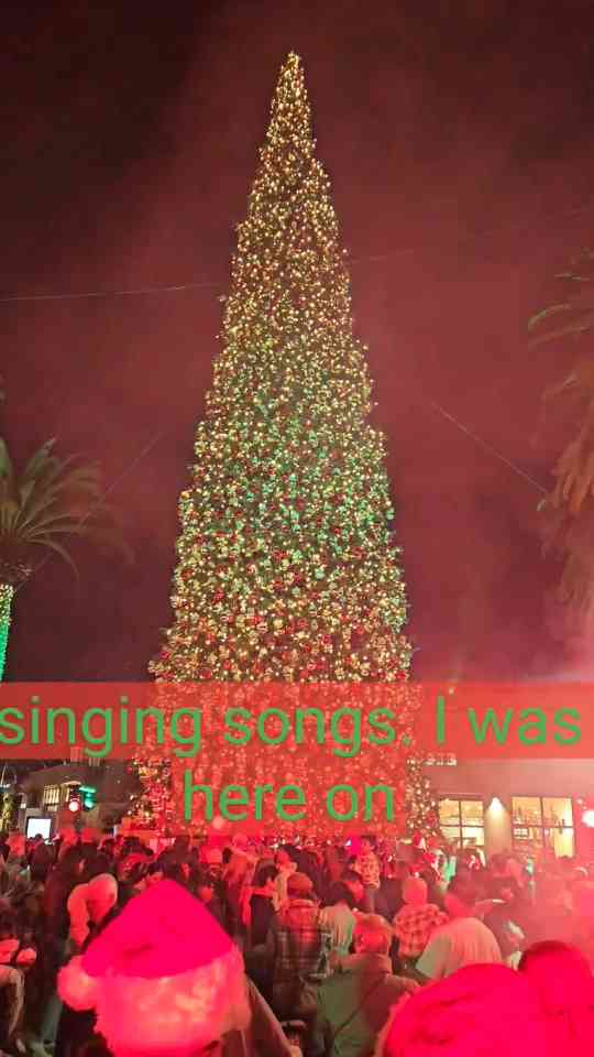The massive Christmas tree installation that changed the skyline of Newport Beach