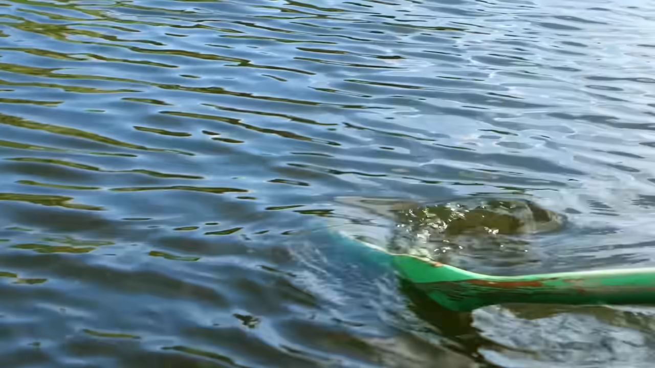 The Lake So Radioactive 30 Minutes Near It Means Certain Death
