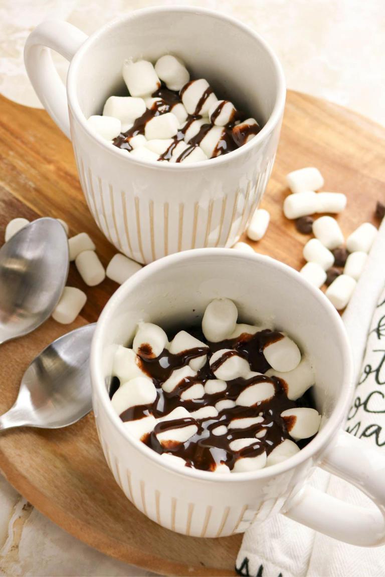 Hot Chocolate Mug Cake