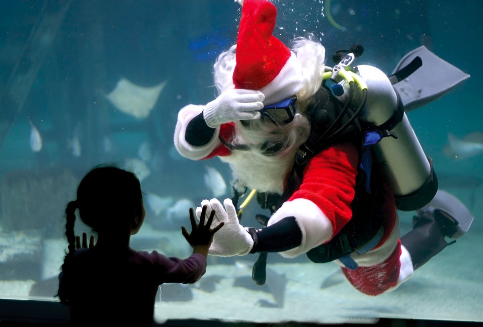 Santa Sightings, Holiday Light Shows, and More Things To Do this ...