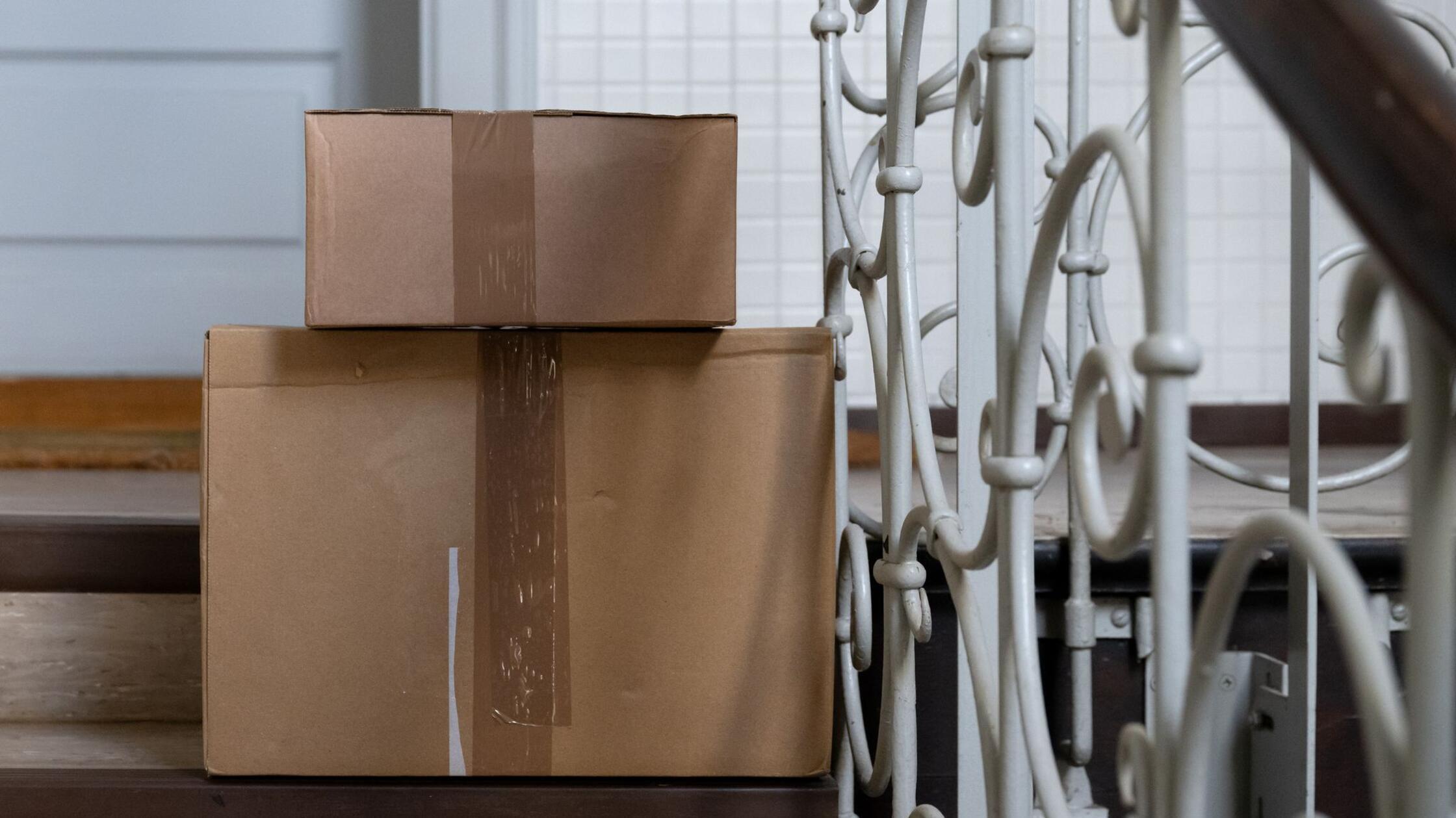 Haustier versendet: Katze schläft unbemerkt in Karton ein - und wacht ...