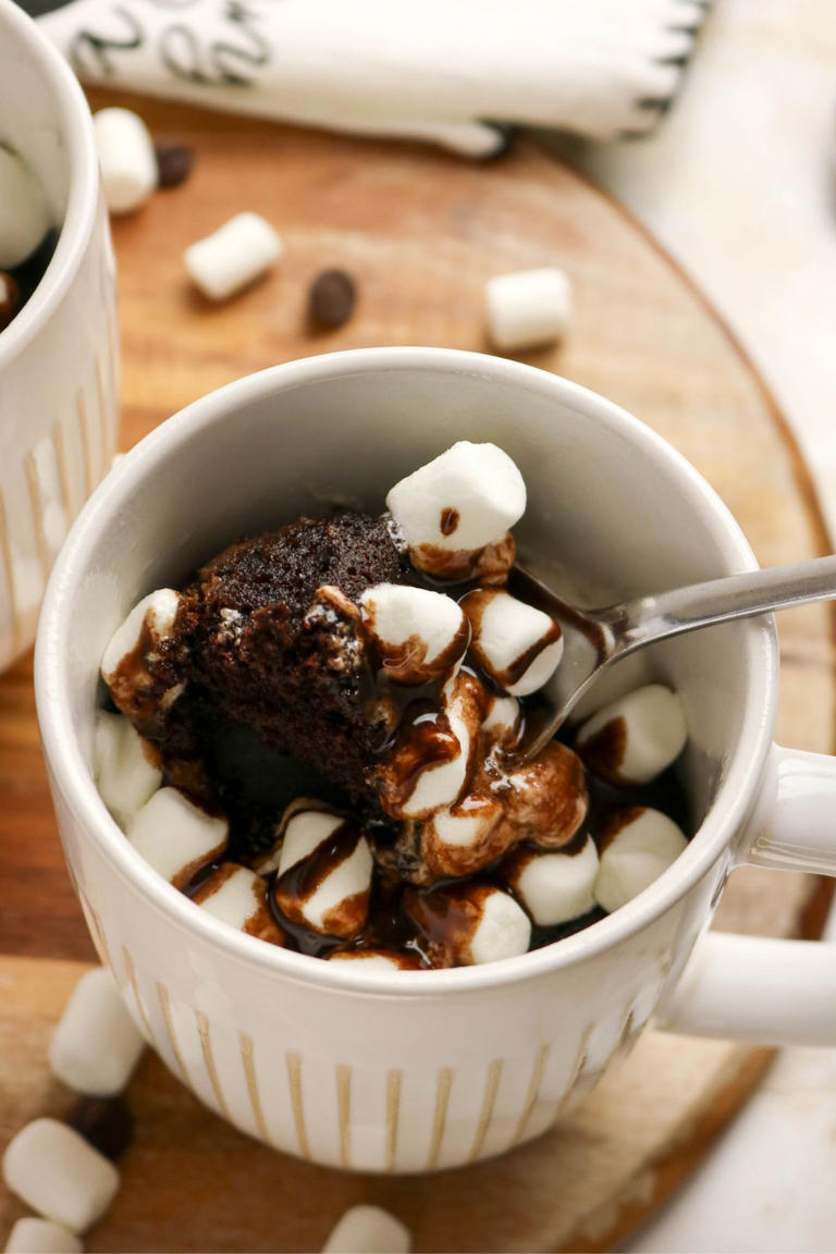 Hot Chocolate Mug Cake