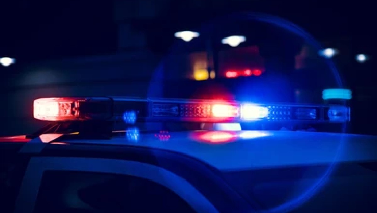 Hallan cuerpo de un bebé entre la maleza en San Miguel de Allende ...