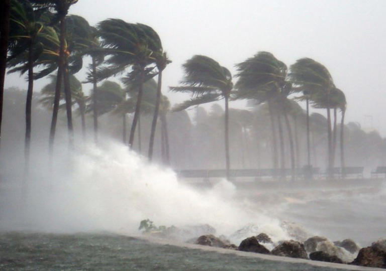 USF professor suggests new hurricane rating system | Tracking the Tropics