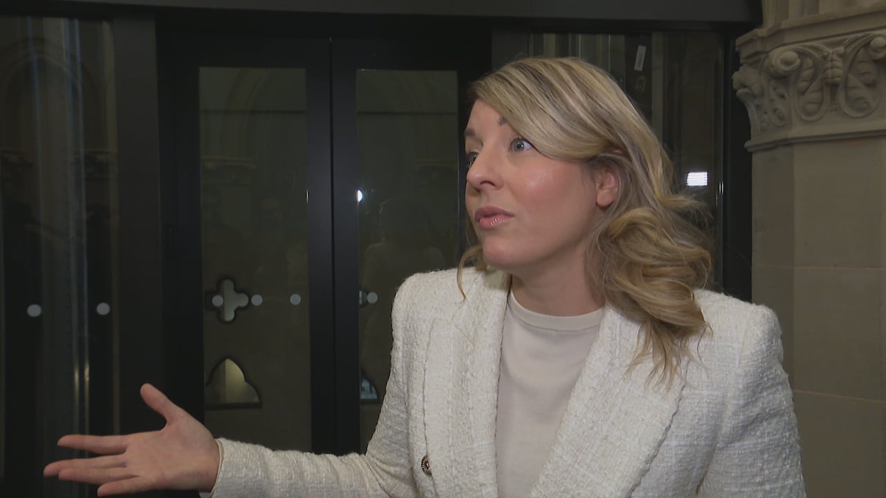 Joly says American F-35 deal ‘not enough’ as Swedish fighter jet ...