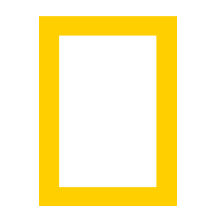 Muere el director del laboratorio de fusión de MIT tras recibir varios ...