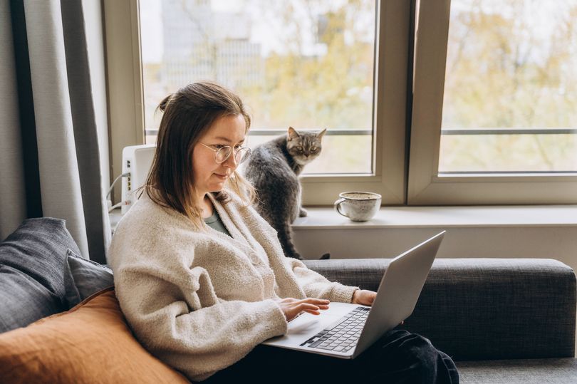 One-fifth of web traffic could be down as Cloudfare crash leads to ...