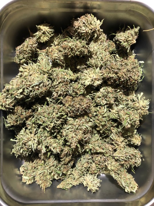 Funky, fruity or fecal: Oregon State researchers develop common ...