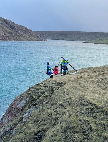Collie Dog 'Remarkably Unscathed' After Falling from 100-Foot Cliff and ...
