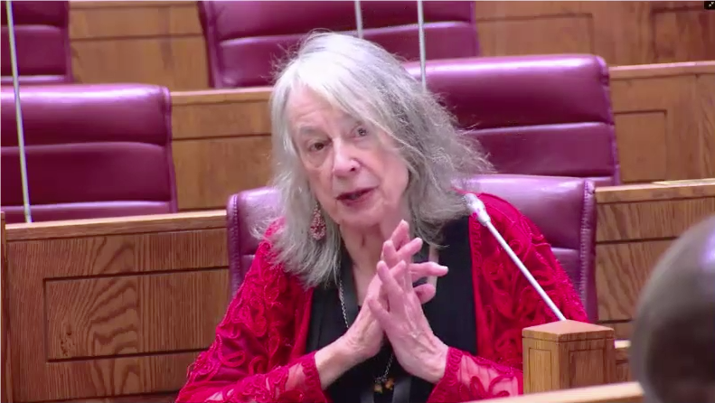 Ad hoc committee | Mary De Haas testifies before parliament