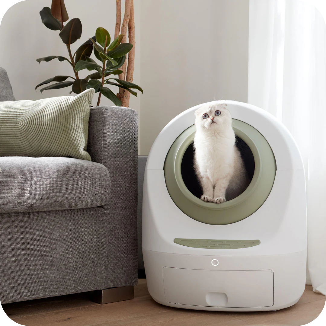 Black Friday Self-Cleaning Litter Box Deal 2025! Leo's Loo Too - Casa ...