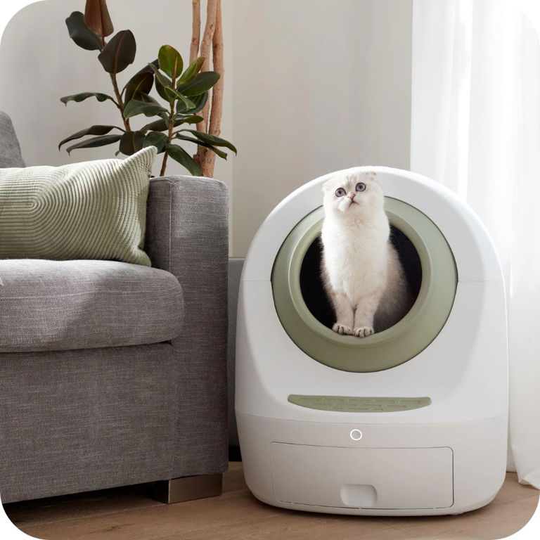 Black Friday Self-Cleaning Litter Box Deal 2025! Leo's Loo Too - Casa ...