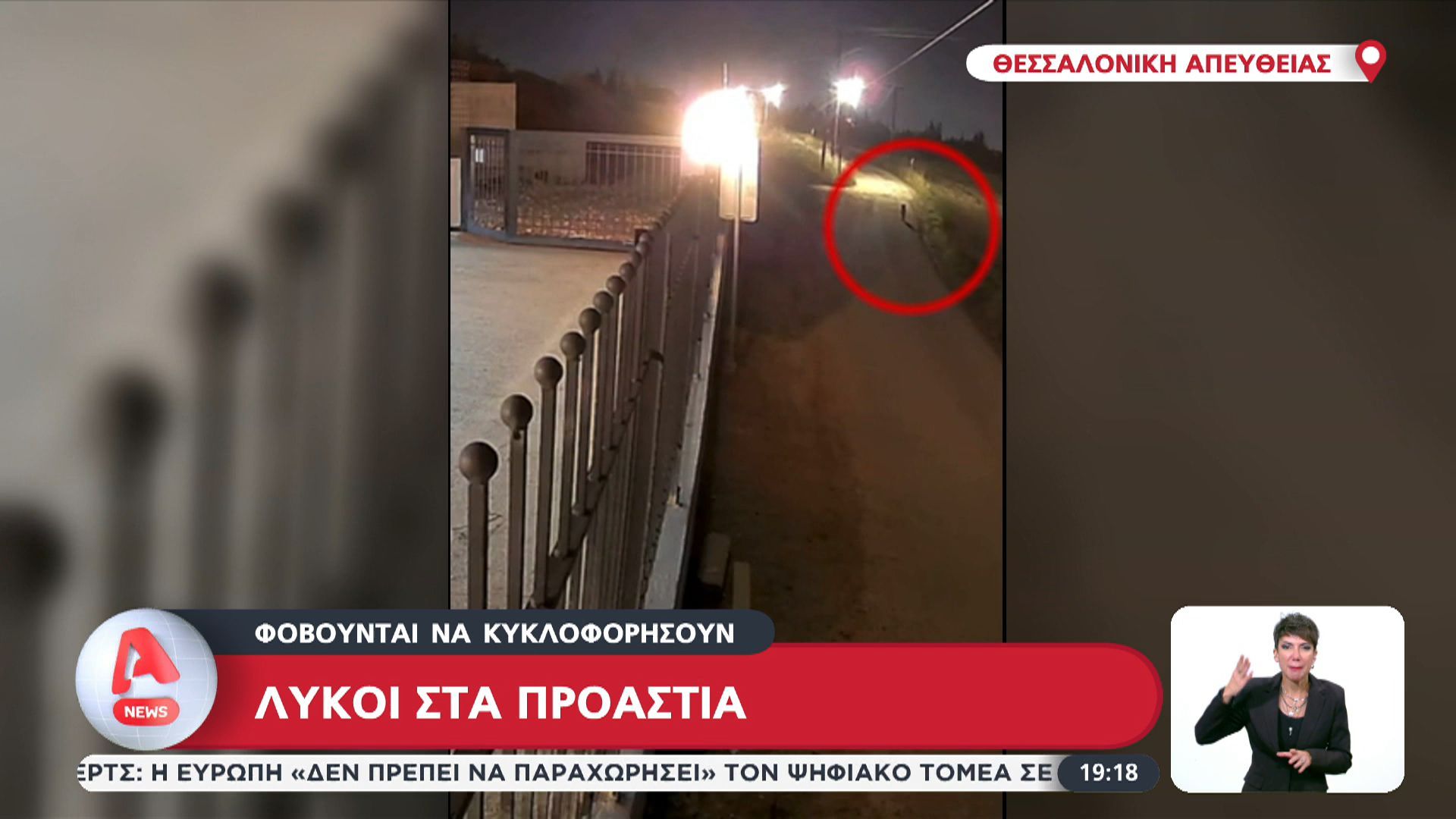 Λύκοι στα προάστια της Θεσσαλονίκης: Φοβούνται να κυκλοφορήσουν οι κάτοικοι