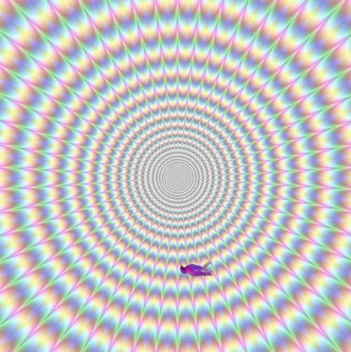 Multi-Layer Vision Check: Can You Point Out What’s Hidden in the ...