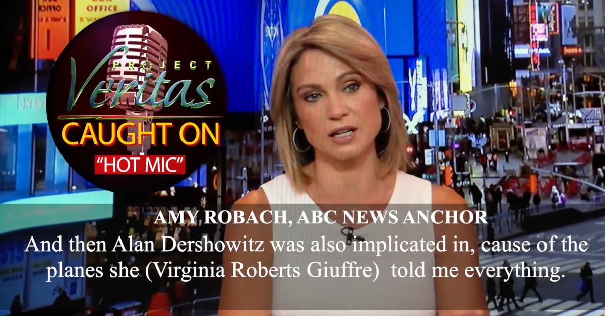 Amy Robach Had the Opportunity to Interview Virginia Giuffre in 2016 ...