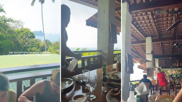 Family captures stunning video on vacation as wild animals raid ...