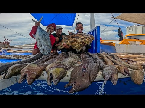 Our bait worked perfectly! So many great catches