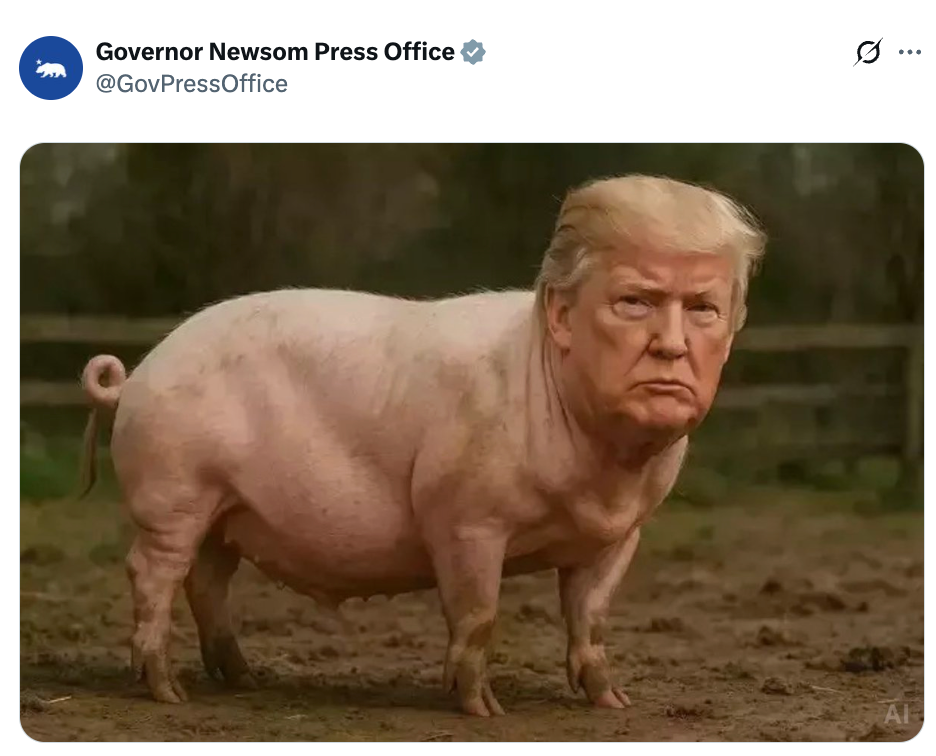 Gavin Newsom Is Trolling Trump Harder Than Ever For His "Quiet Piggy ...