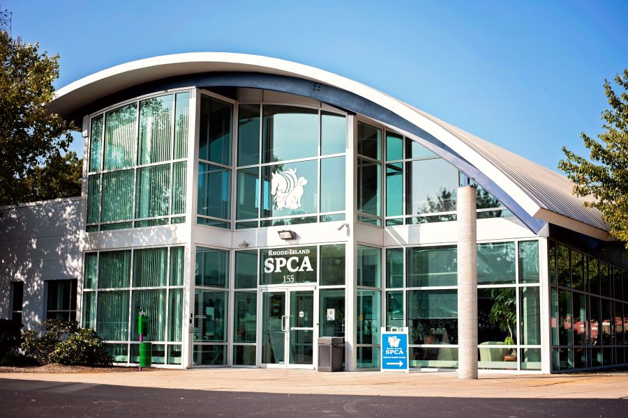 Potter League’s Todd Cramer chosen as RISPCA’s next president